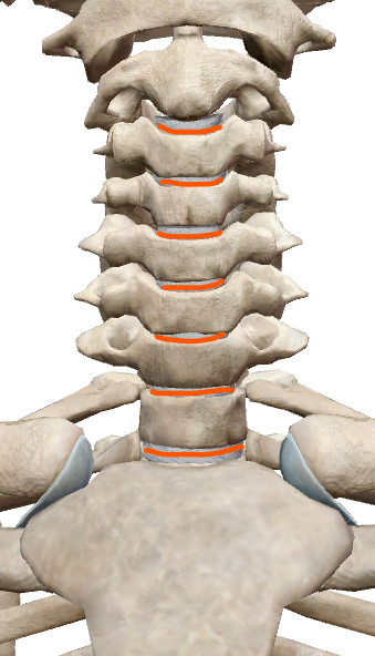 Neck Pain - Chiro 2 Rehab